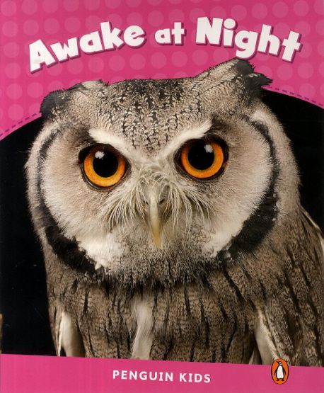 Awake at Night | Laura Miller - 교보문고