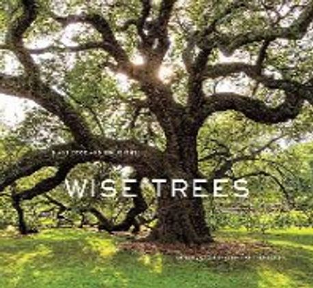 Wise Trees | Diane Cook - 교보문고