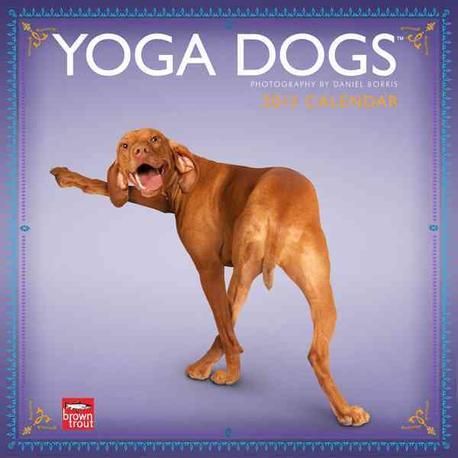 Yoga Dogs Calendar | Browntrout Publishers - 교보문고