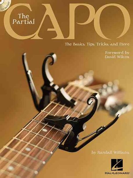 Partial Capo Guitar : The Basics, Tips, Tricks, and More | Williams ...