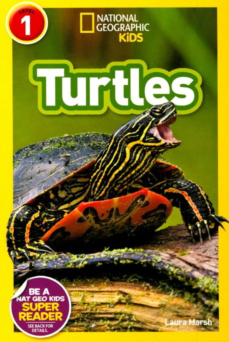 Turtles | Laura Marsh - 교보문고