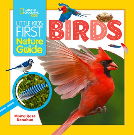 Little Kids First Nature Guide Birds | Moira Rose Donohue - 교보문고