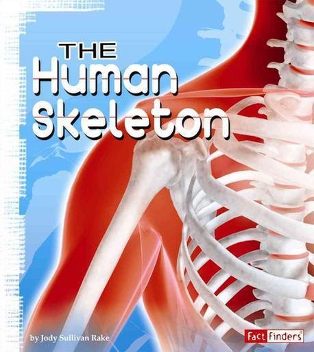 The Human Skeleton | Rake, Jody Sullivan/Hogan, Marjorie J./ - 교보문고