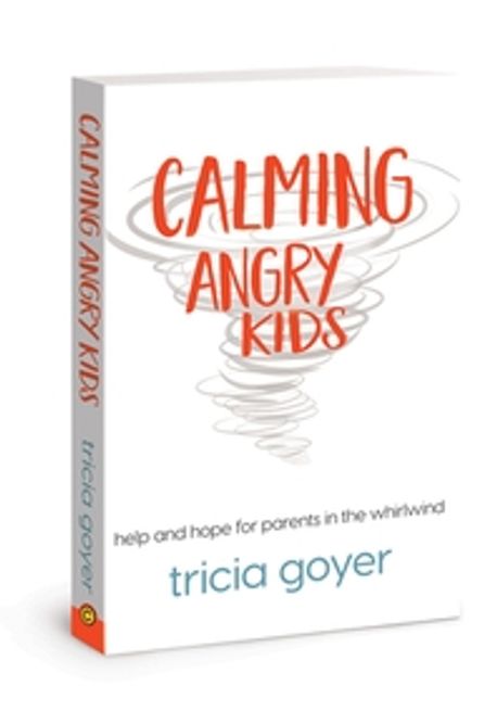 Calming Angry Kids | Goyer, Tricia - 교보문고
