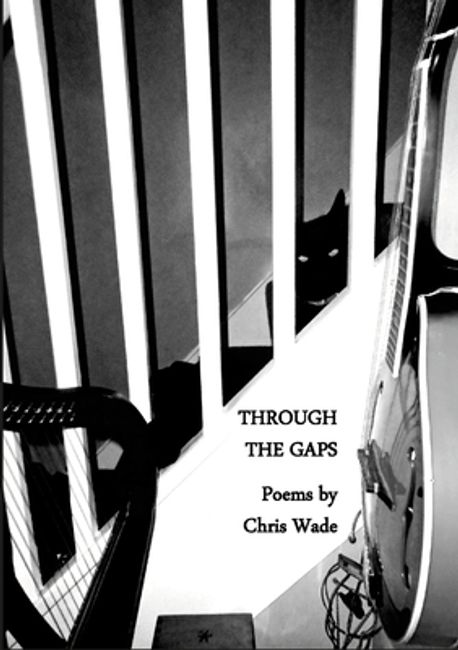 Through the Gaps | Wade, Chris - 교보문고