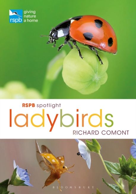 Rspb Spotlight Ladybirds | Richard Comont - 교보문고