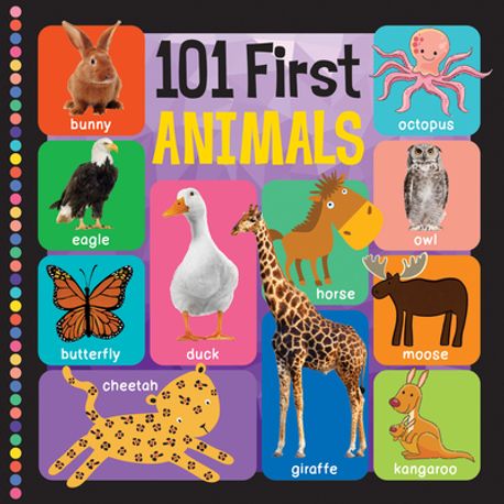 101 First Animals | Flowerpot Press - 교보문고