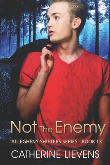Not the Enemy | Lievens, Catherine - 교보문고