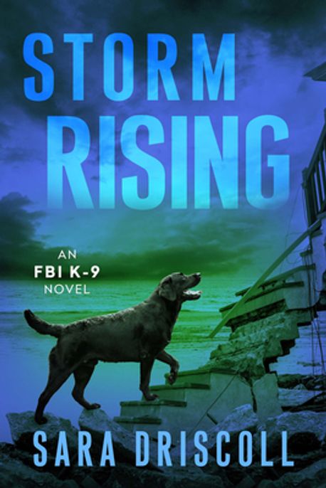 Storm Rising | Driscoll, Sara - 교보문고