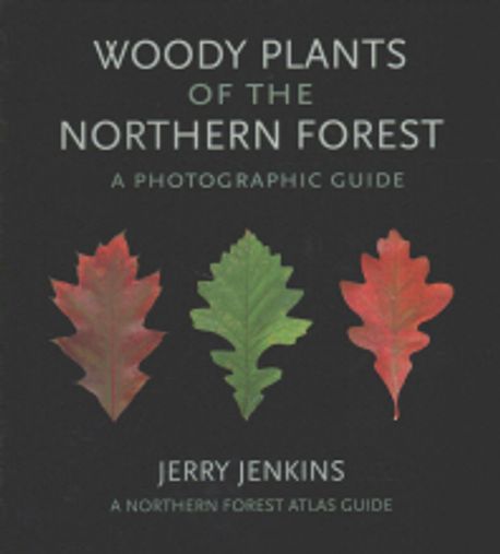 Woody Plants of the Northern Forest | Jenkins, Jerry - 교보문고