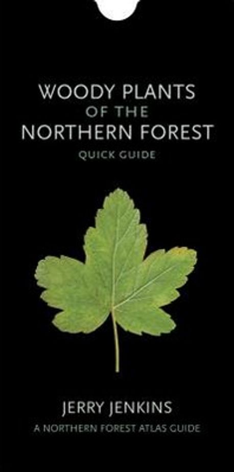Woody Plants of the Northern Forest | Jenkins, Jerry - 교보문고