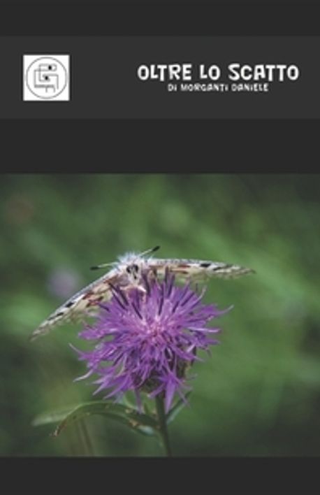 Oltre lo Scatto | Morganti, Daniele - 교보문고
