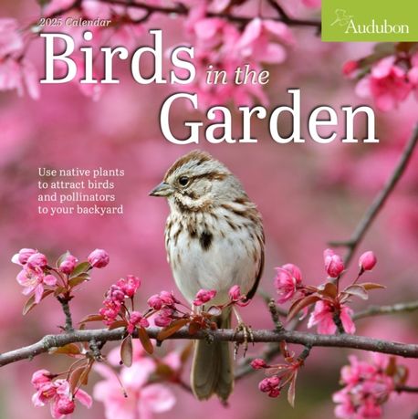Audubon Birds in the Garden Wall Calendar 2025 | National Audubon ...