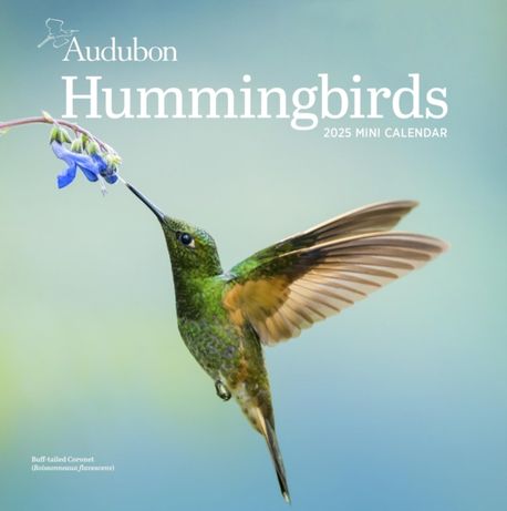 Audubon Hummingbirds Mini Wall Calendar 2025 | National Audubon Society ...