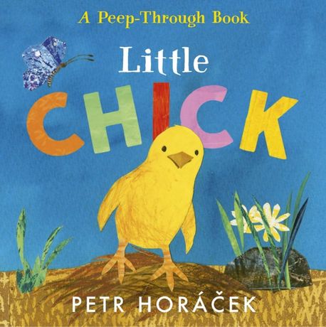 Little Chick | Petr Horacek - 교보문고