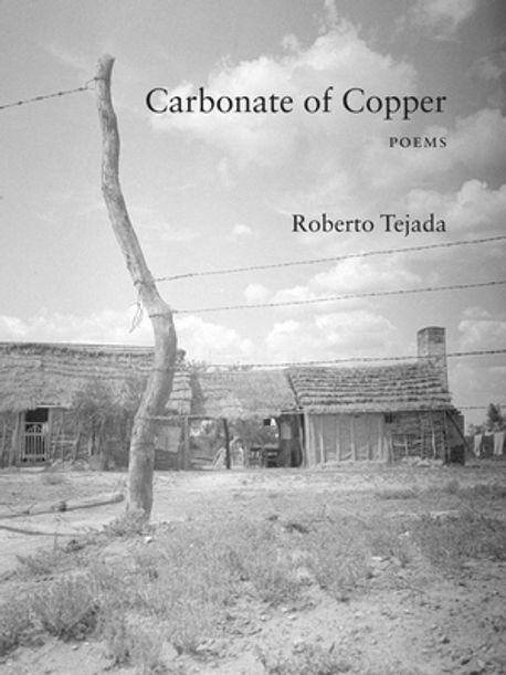 Carbonate of Copper | Tejada, Roberto - 교보문고