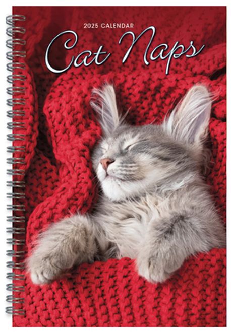 2025 Cat Naps Engagement | Sellers Publishing, Inc - 교보문고