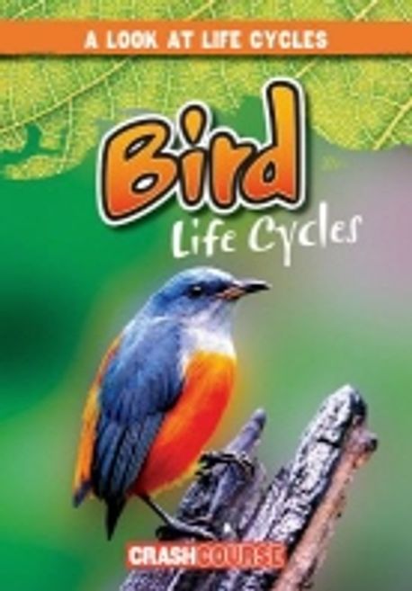 Bird Life Cycles | Jacobson, Bray - 교보문고