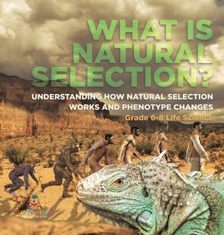 What is Natural Selection? Understanding How Natural Selection Works ...