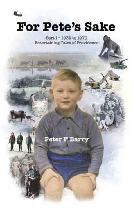 For Pete's Sake | Barry, Peter F. - 교보문고