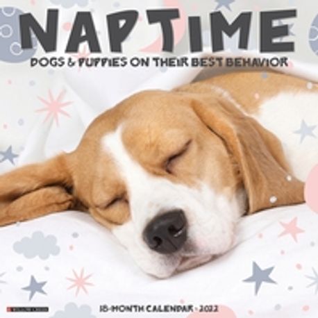 Dog Naps 2022 Wall Calendar | Willow Creek Press - 교보문고