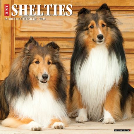 Just Shelties 2025 12 X 12 Wall Calendar | Willow Creek Press - 교보문고