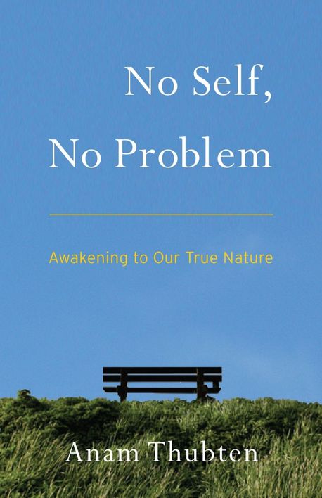 No Self, No Problem | Anam Thubten - 교보문고