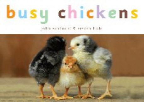 Busy Chickens | Schindel, John - 교보문고