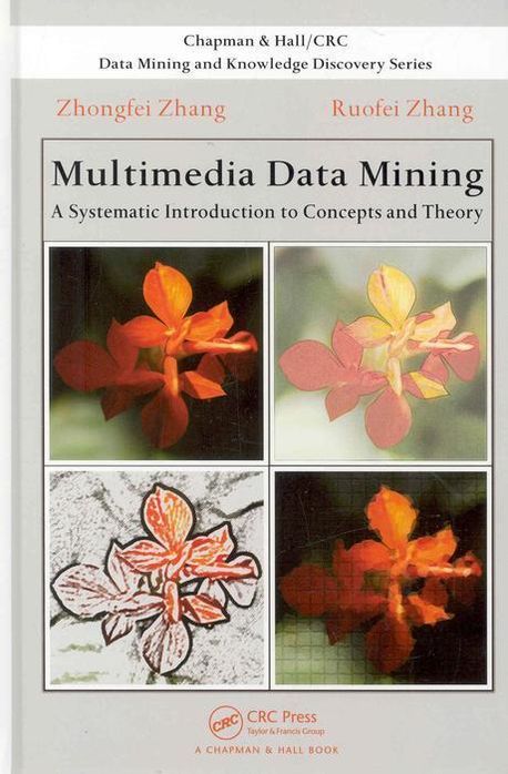 Multimedia Data Mining : A Systematic Introduction to Concepts and Theory | Zhang, Zhongfei ...