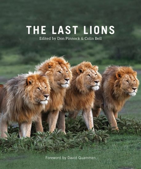 The Last Lions | Pinnock, Don - 교보문고