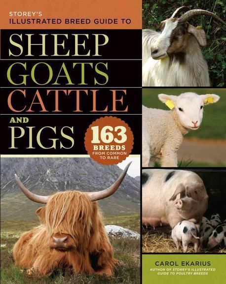 Storey's Illustrated Breed Guide to Sheep, Goats, Cattle and Pigs ...