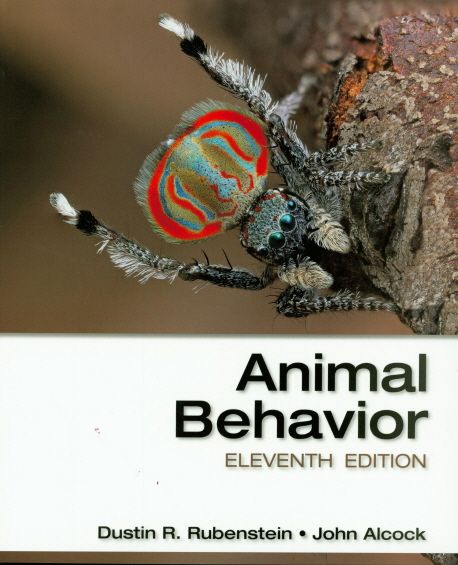 Animal Behavior | Rubenstein, Dustin R. - 교보문고