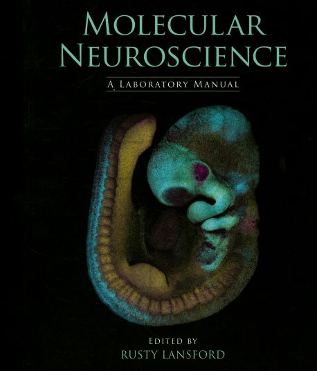 Molecular Neuroscience | Rusty Lansford - 교보문고