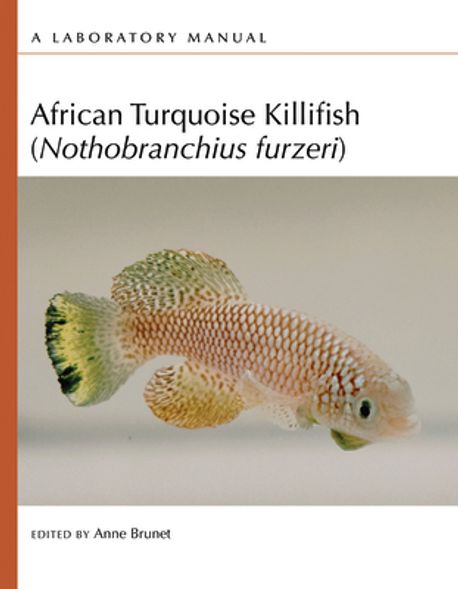 African Turquoise Killifish (Nothobranchius Furzeri) | Brunet, Anne - 교보문고