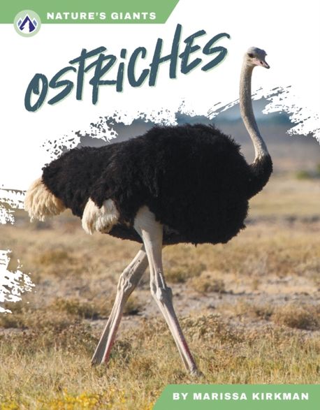 Ostriches | Kirkman, Marissa - 교보문고