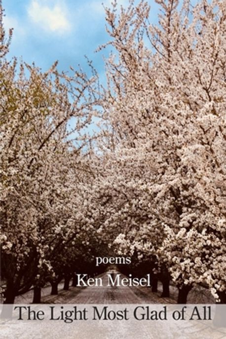 The Light Most Glad of All | Meisel, Ken - 교보문고