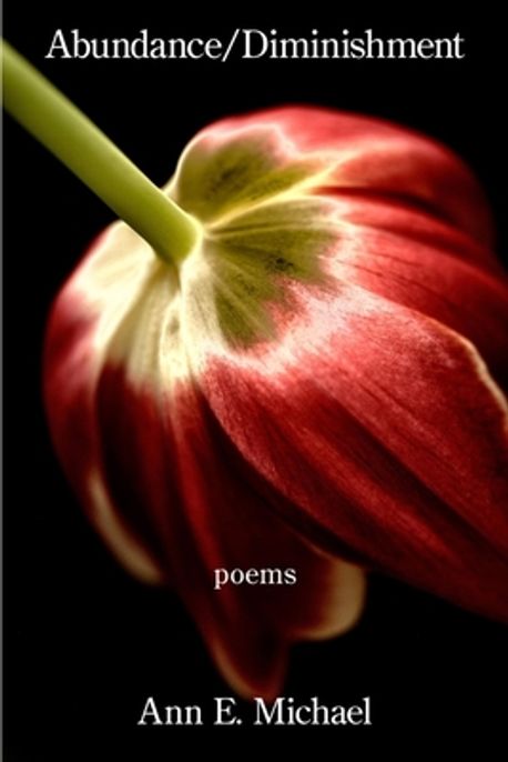 Abundance / Diminishment | Michael, Ann E. - 교보문고