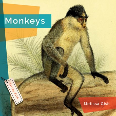 Monkeys | Gish, Melissa - 교보문고