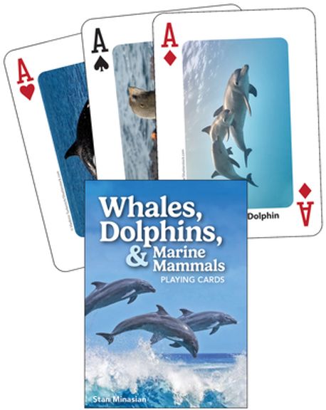 Whales, Dolphins, and Marine Mammals Playing Cards | Minasian, Stan - 교보문고