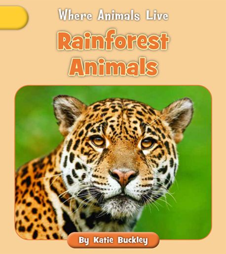 Rainforest Animals | Buckley, Katie - 교보문고