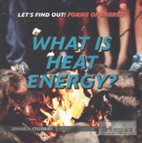 What Is Heat Energy? | Steinberg, Lynnae D. - 교보문고
