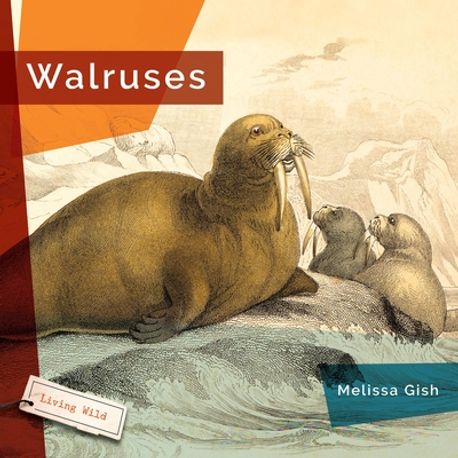 Walruses | Gish, Melissa - 교보문고