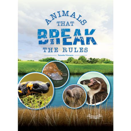 Animals That Break the Rules | Vizcarra, Natasha - 교보문고