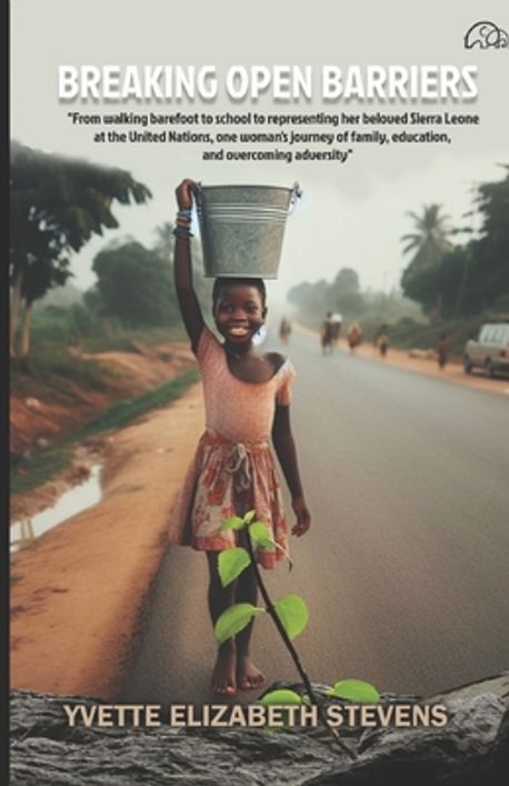 Breaking Open Barriers | Stevens, Yvette Elizabeth - 교보문고
