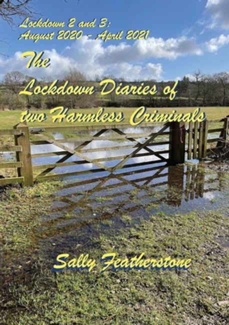 Lockdown Diary 2 | Featherstone, Sally - 교보문고