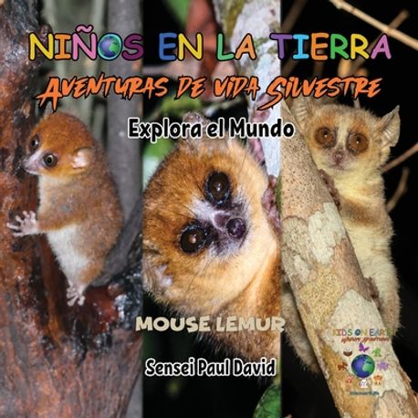 Niños en la Tierra Aventuras de vida Silvestre - Explora el Mundo Mouse Lemur - Madagascar ...