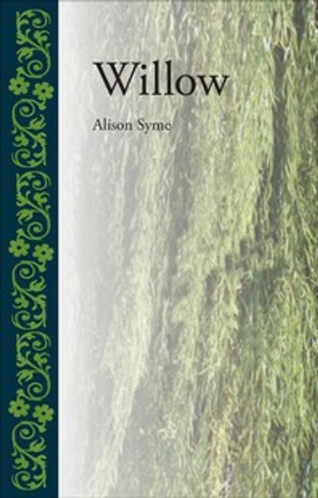 Willow | Alison Syme - 교보문고