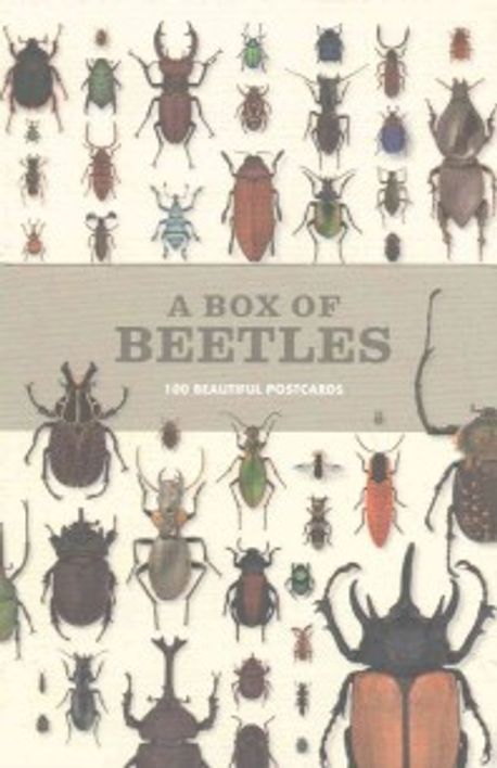 A Box of Beetles | Patrice Bouchard - 교보문고