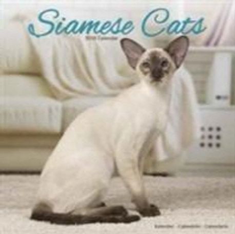 Siamese Cats Calendar 2018 | Avonside Publishing Ltd. - 교보문고