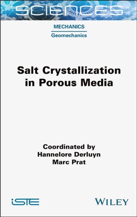 Salt Crystallization in Porous Media | Derluyn, Hannelore - 교보문고